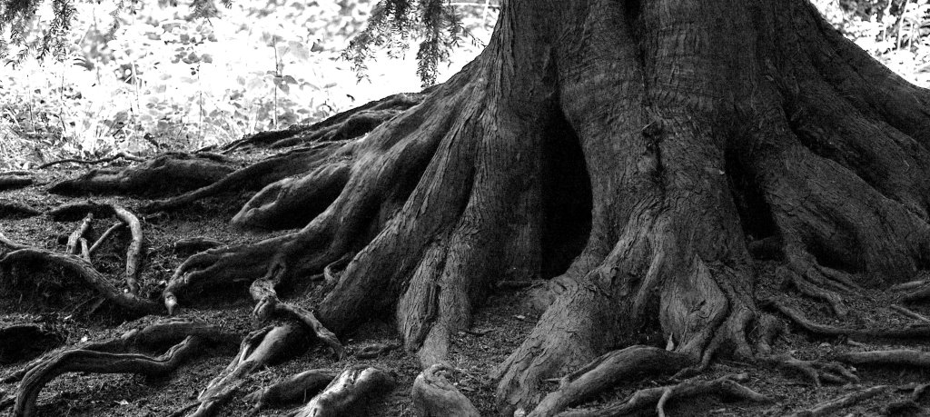 Loading Net Assemblies Out Of Seperate Folders Rick Strahls Web Log